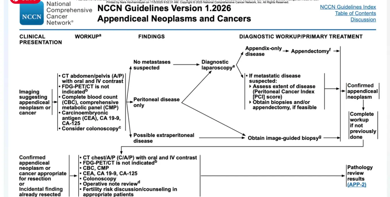 Understanding the New NCCN Guidelines for Appendix Cancer